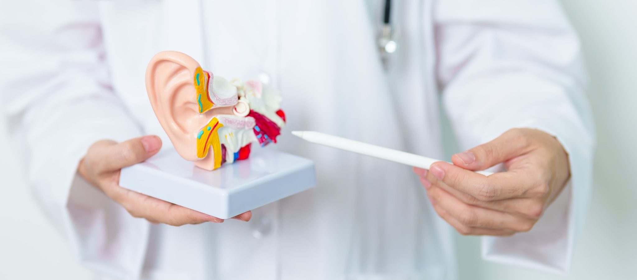 Timpanoplastia endoscópica: Moderna solución para la perforación de los ...